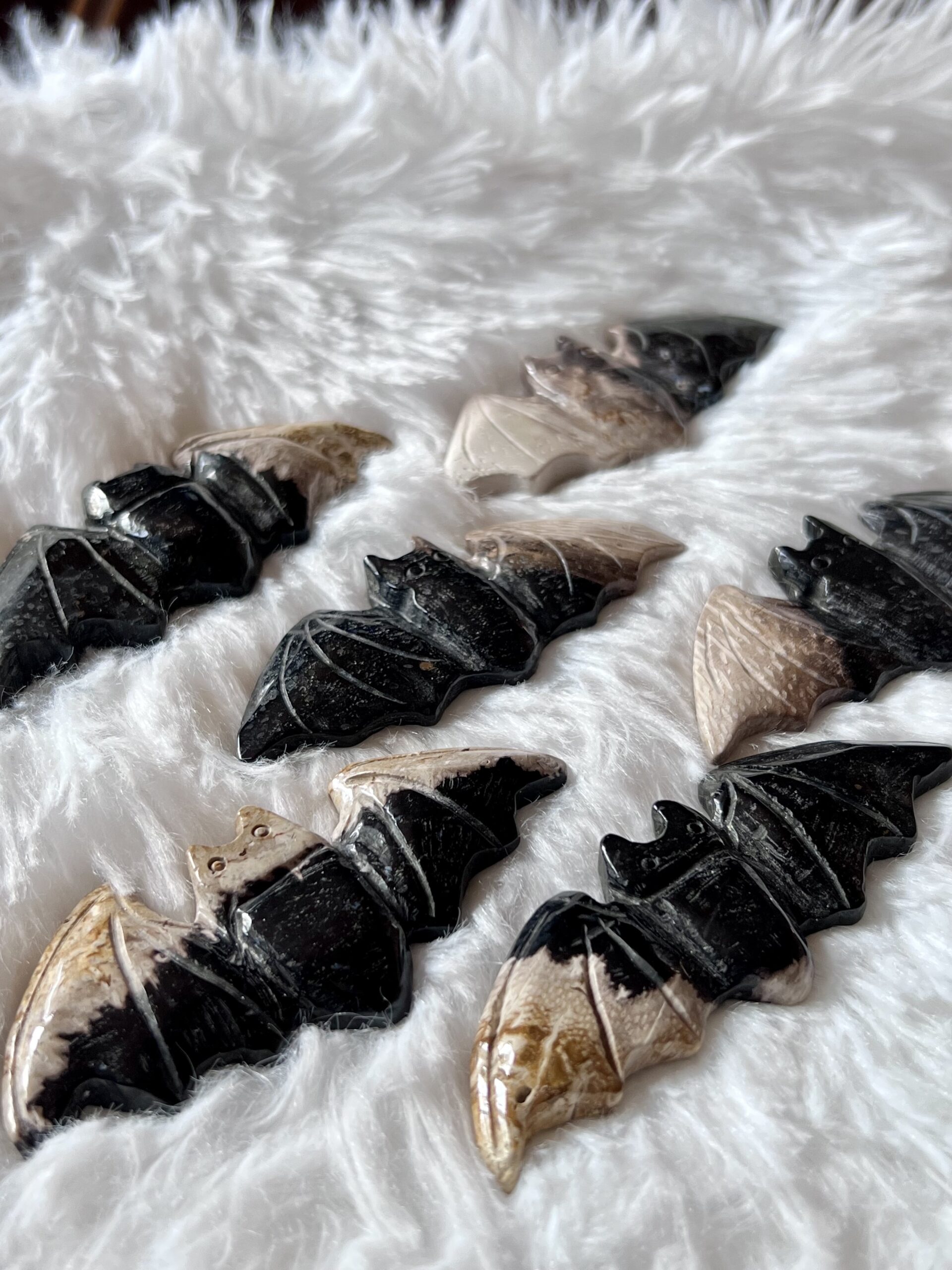 Fossilized Palm Root Bat – miiriya